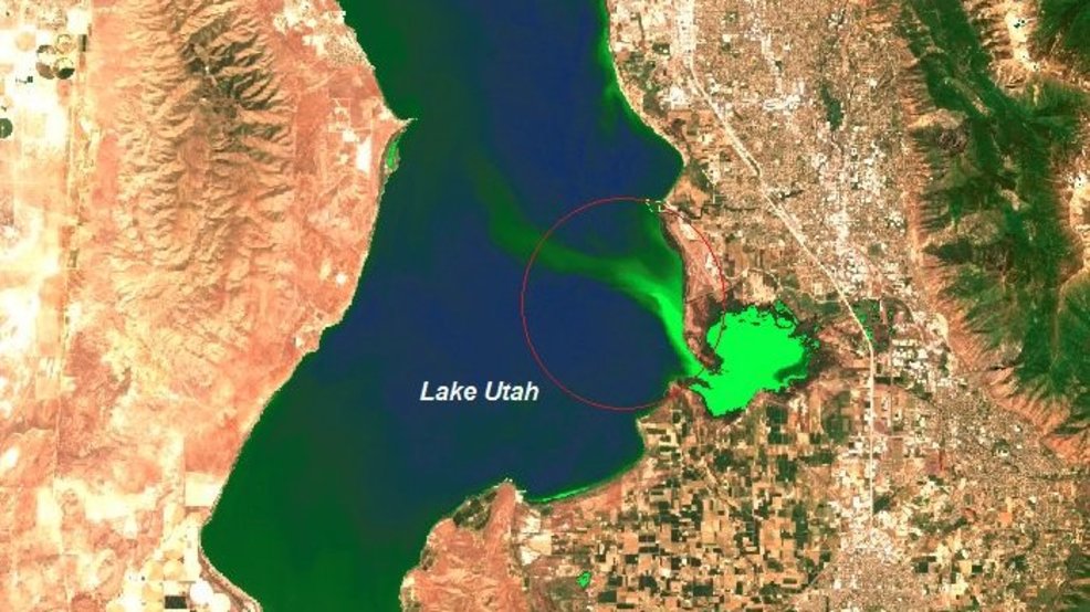 Algal bloom detected in Provo Bay | KUTV