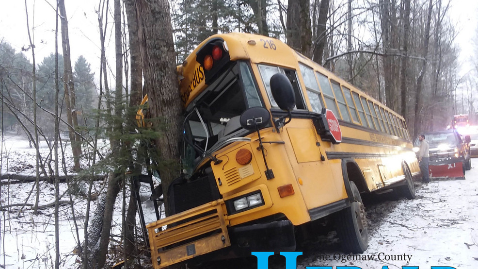 Several students injured after school bus crashes into tree | WPBN