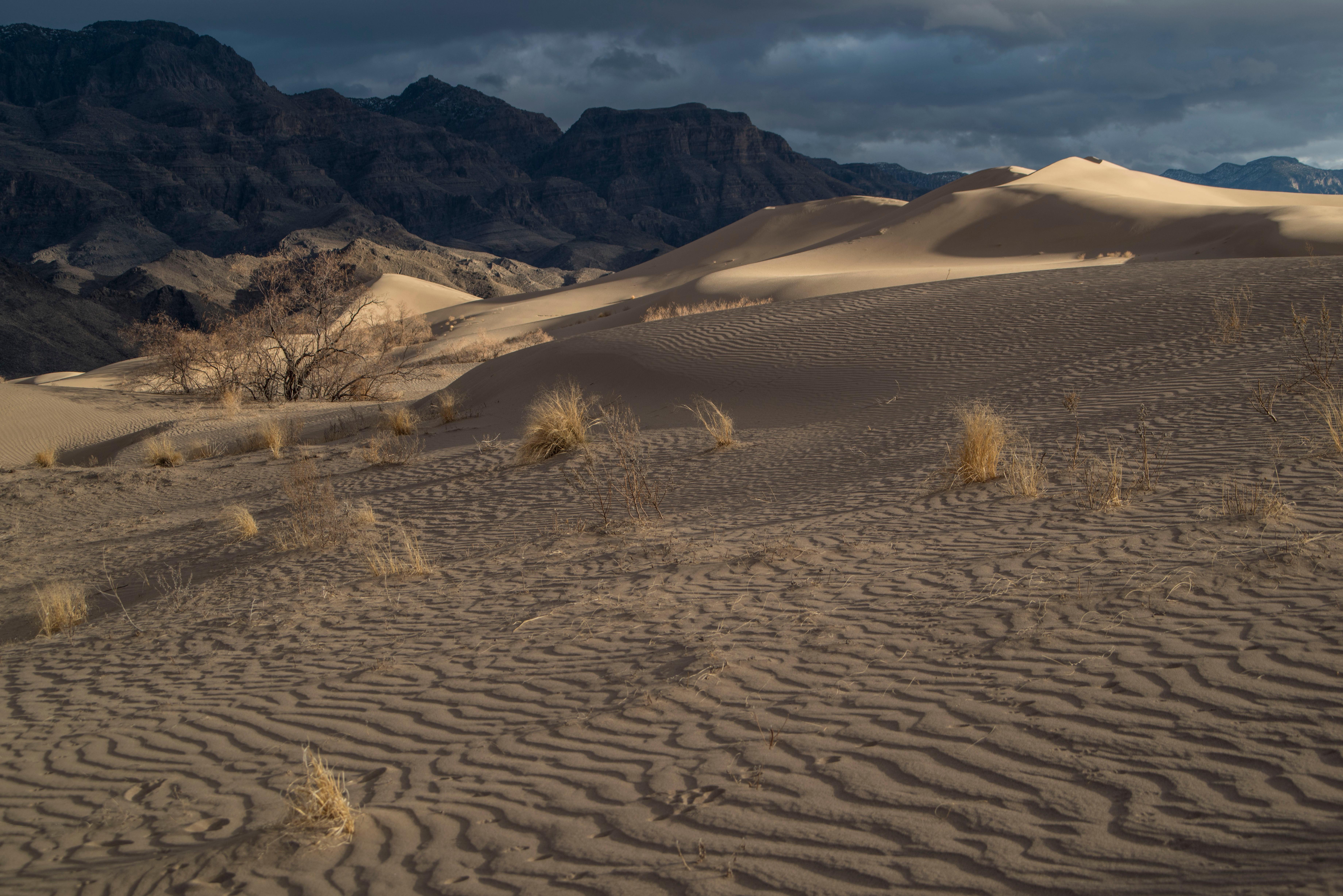 GALLERY | Desert National Wildlife Refuge in Southern Nevada | KSNV
